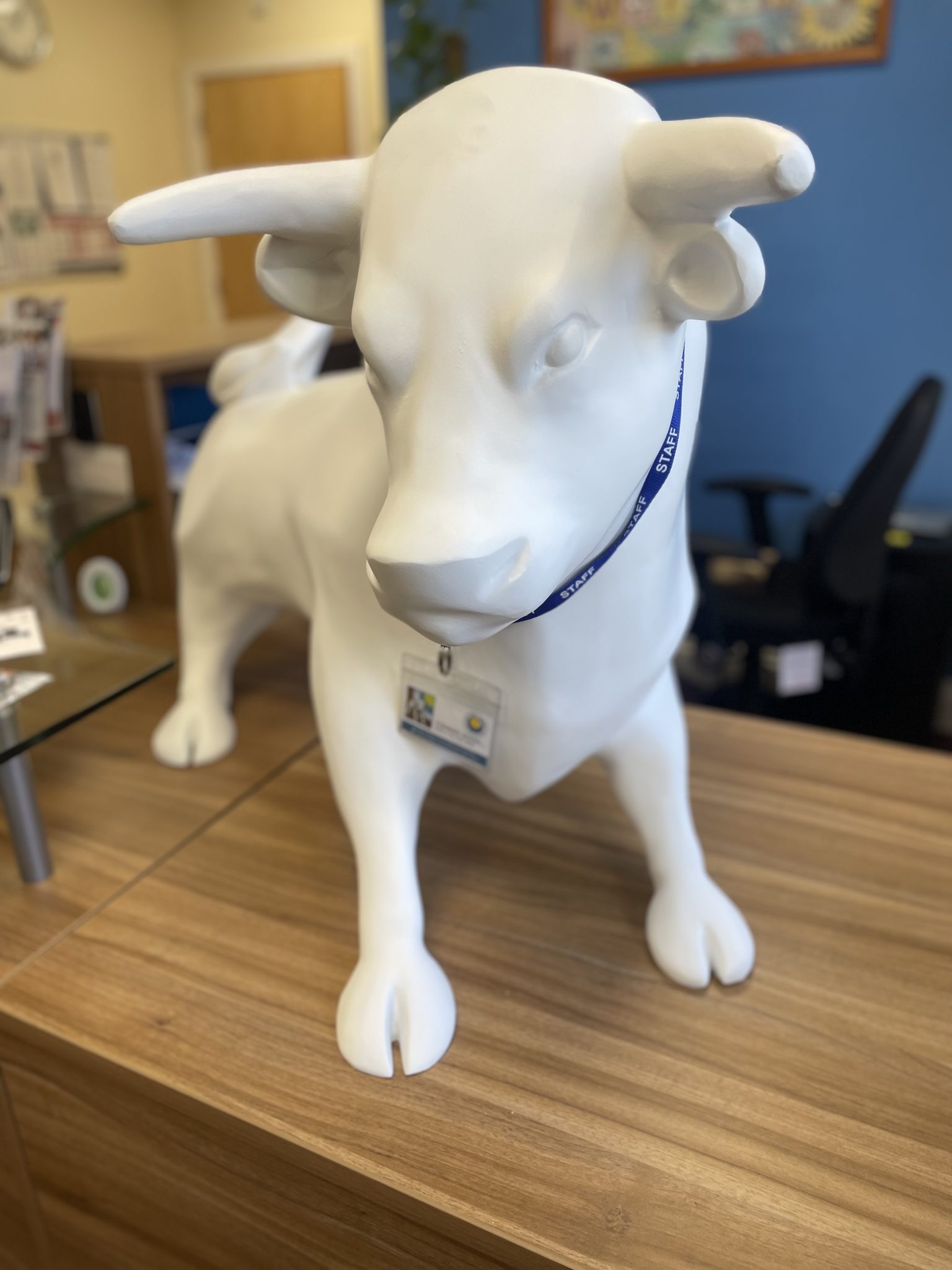 Udderly Art-tastic! Witton Lodge Launches Calf Design Competition for ...